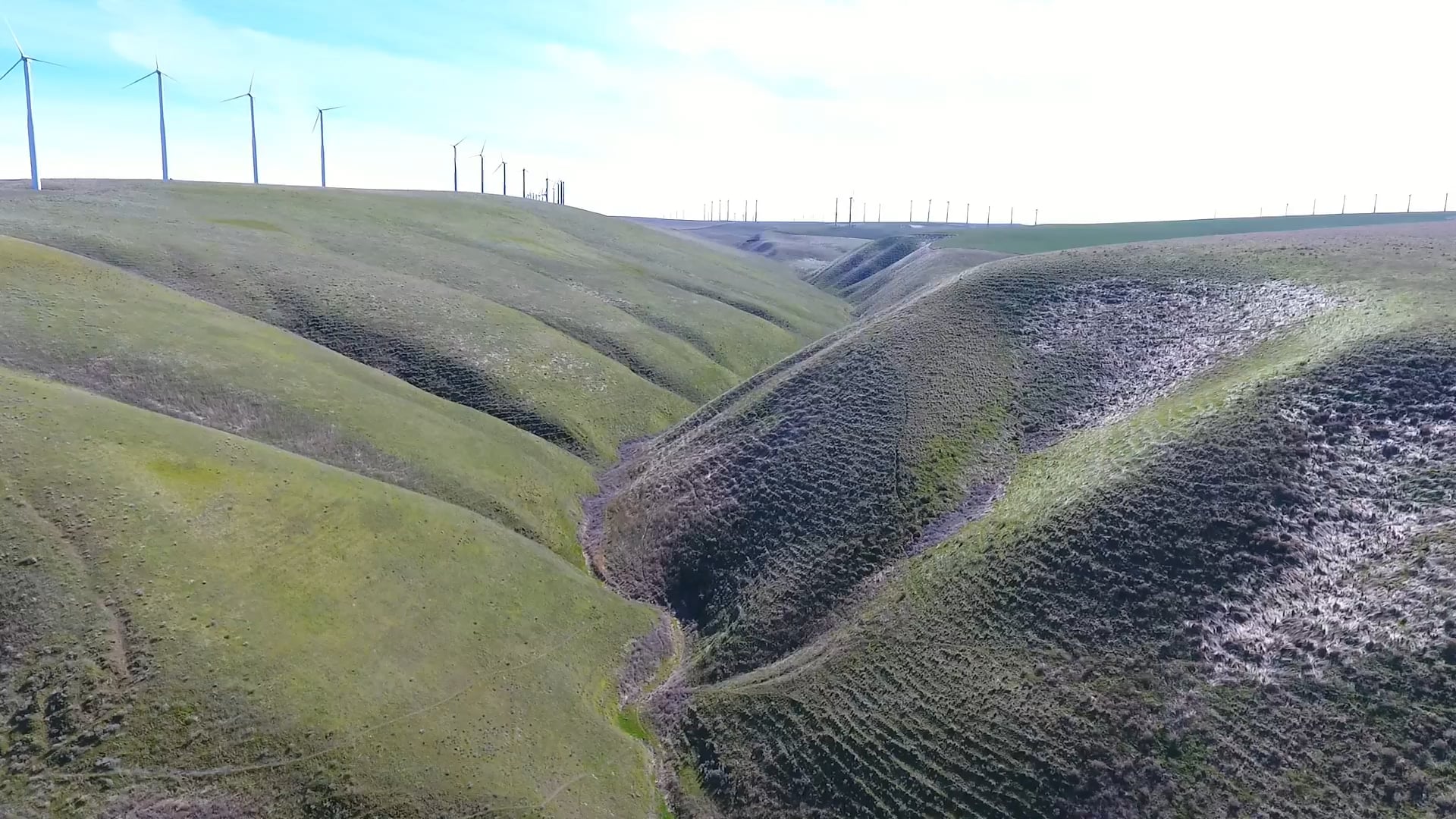 Spring Time in Helix Oregon on Vimeo