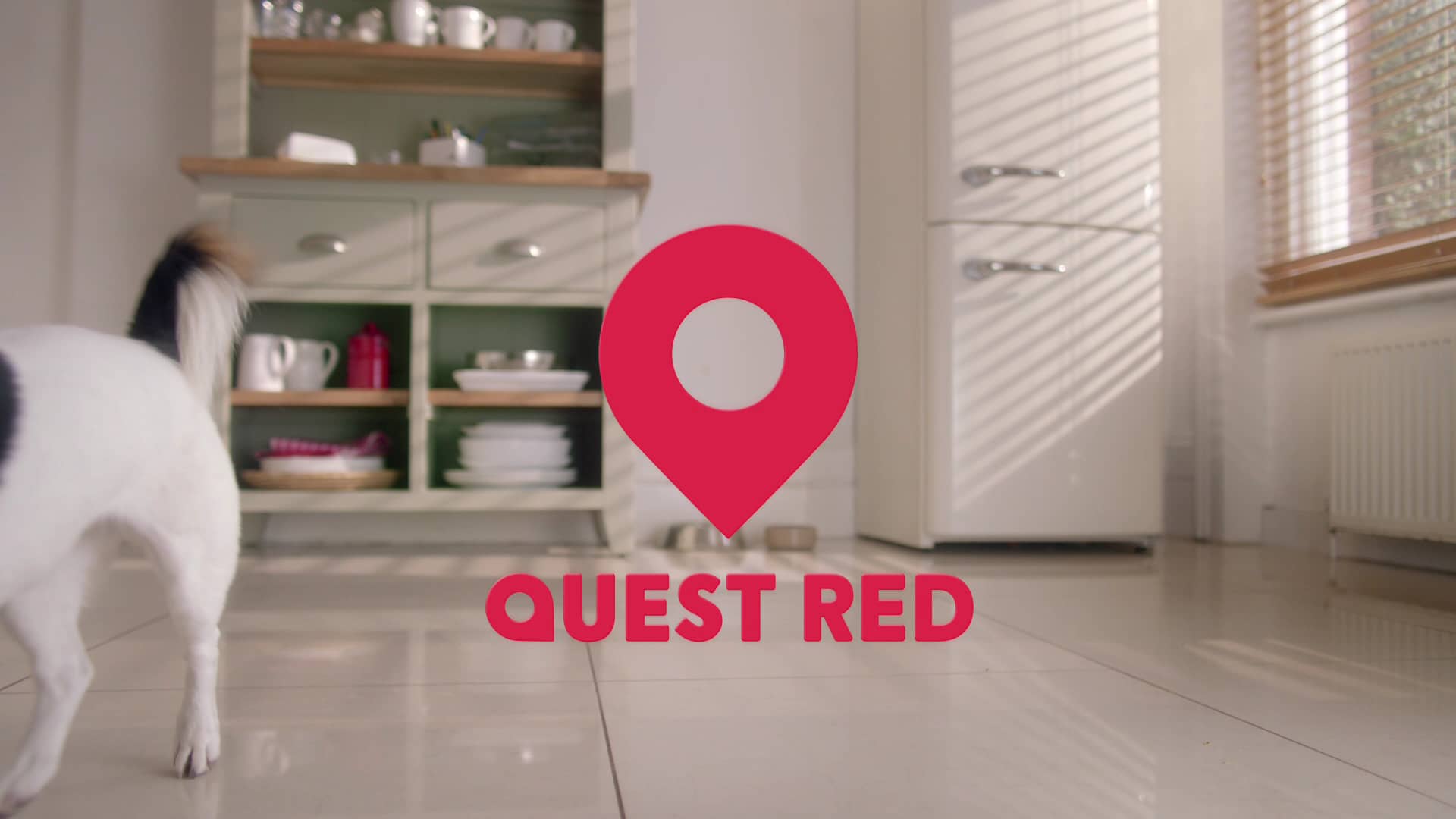 QUEST RED DOG IDENT on Vimeo