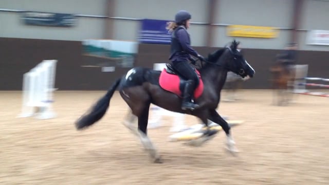 Latest videos » Border Riding Club