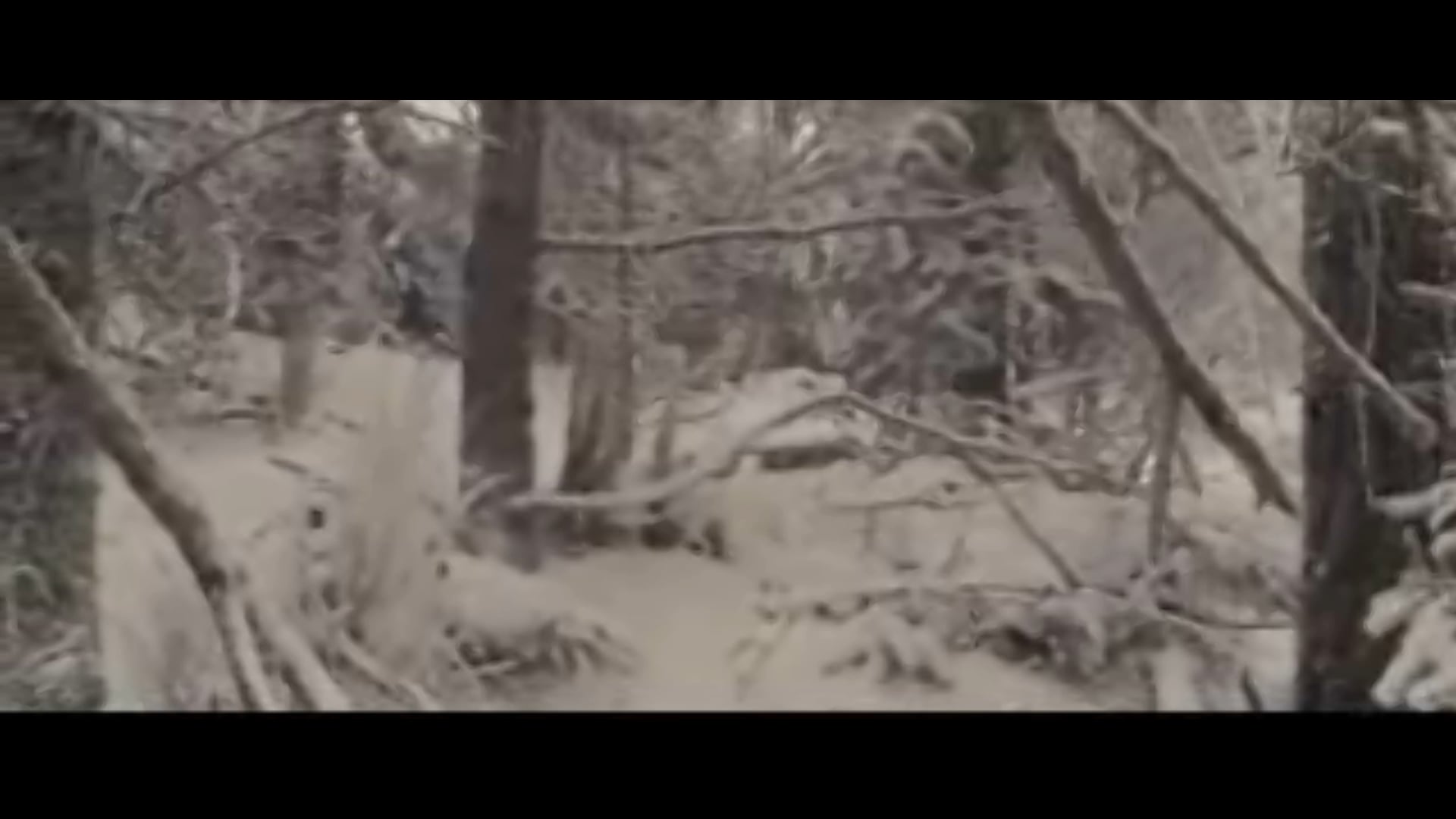 LWW-Lucy-thru-Wardrobe on Vimeo