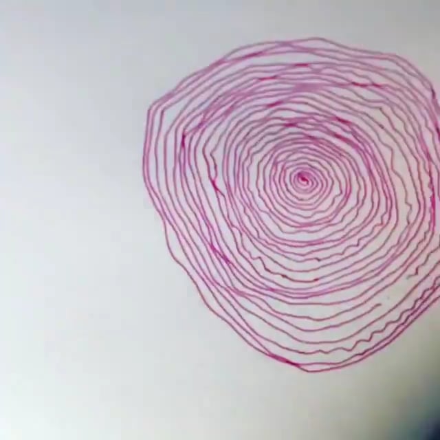 Tree whorls drawing on Vimeo