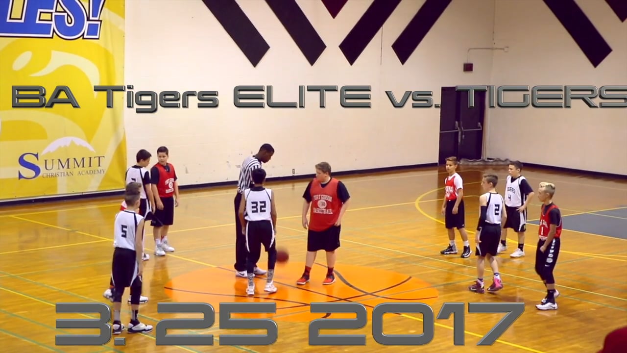 BA Tigers ELITE vs. TIGERS 3.25.2017 on Vimeo