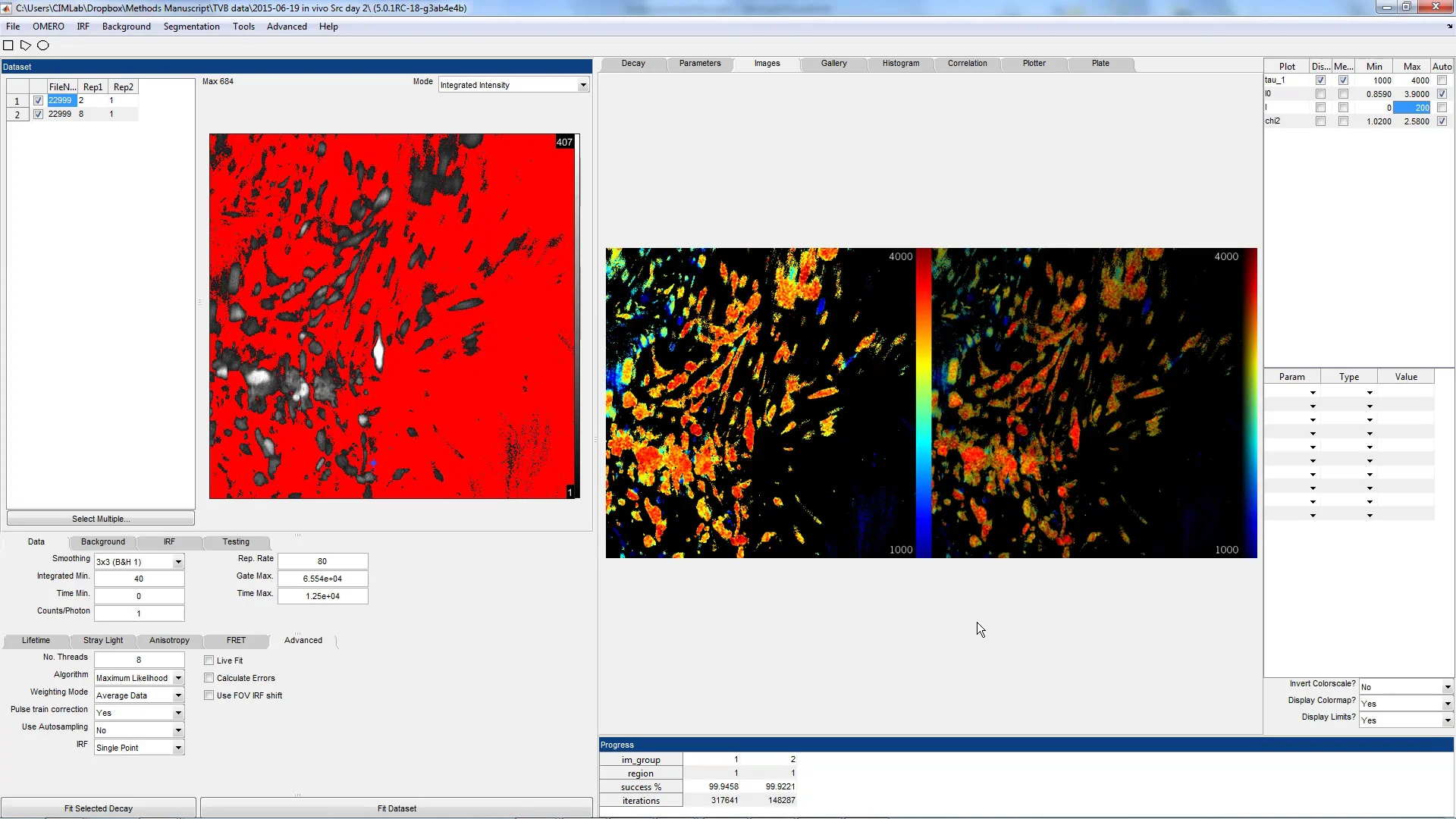 Fitting data with FLIMfit