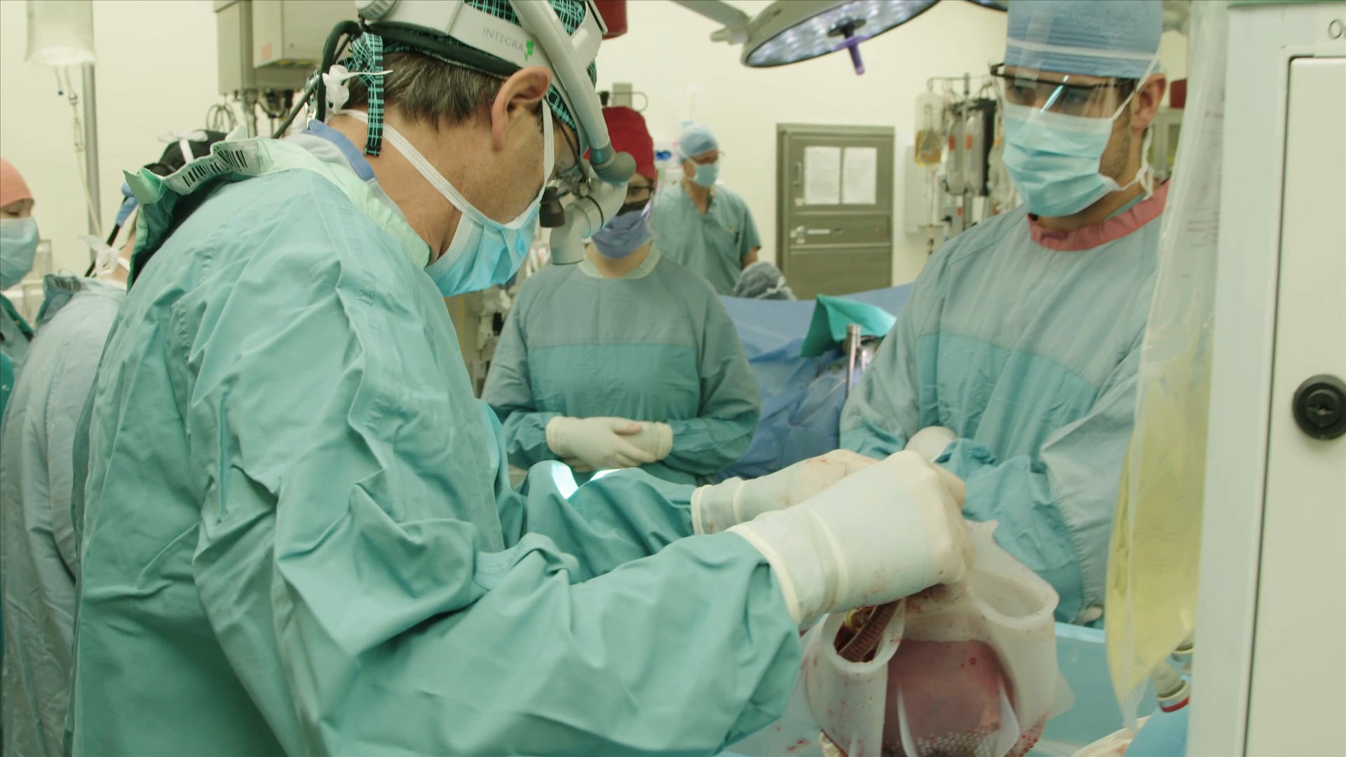 ORGAN TRANSPLANTATION on Vimeo