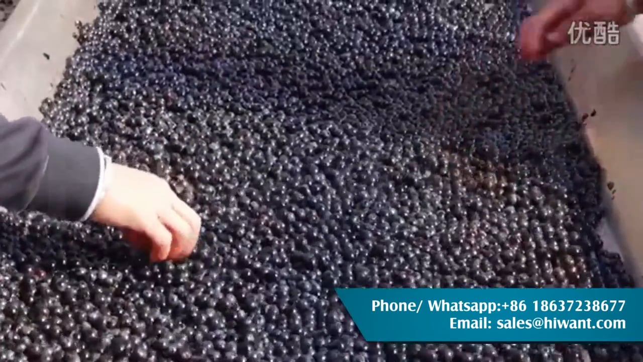 Grape Destemming Machine -- Fruit Wine Making Equipment on Vimeo