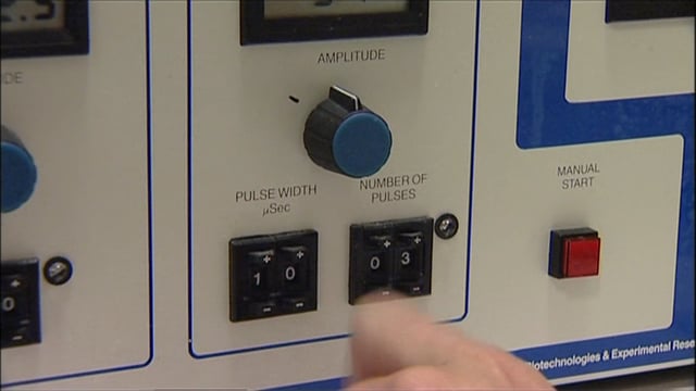 Making a transgenic embryo using nuclear transfer — Science Learning Hub