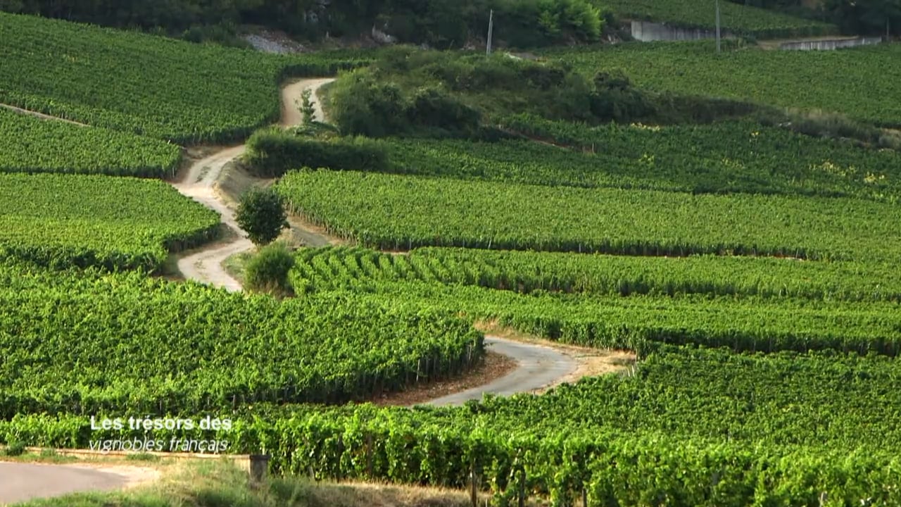 Les Trésors des Vignobles français - Extraits on Vimeo