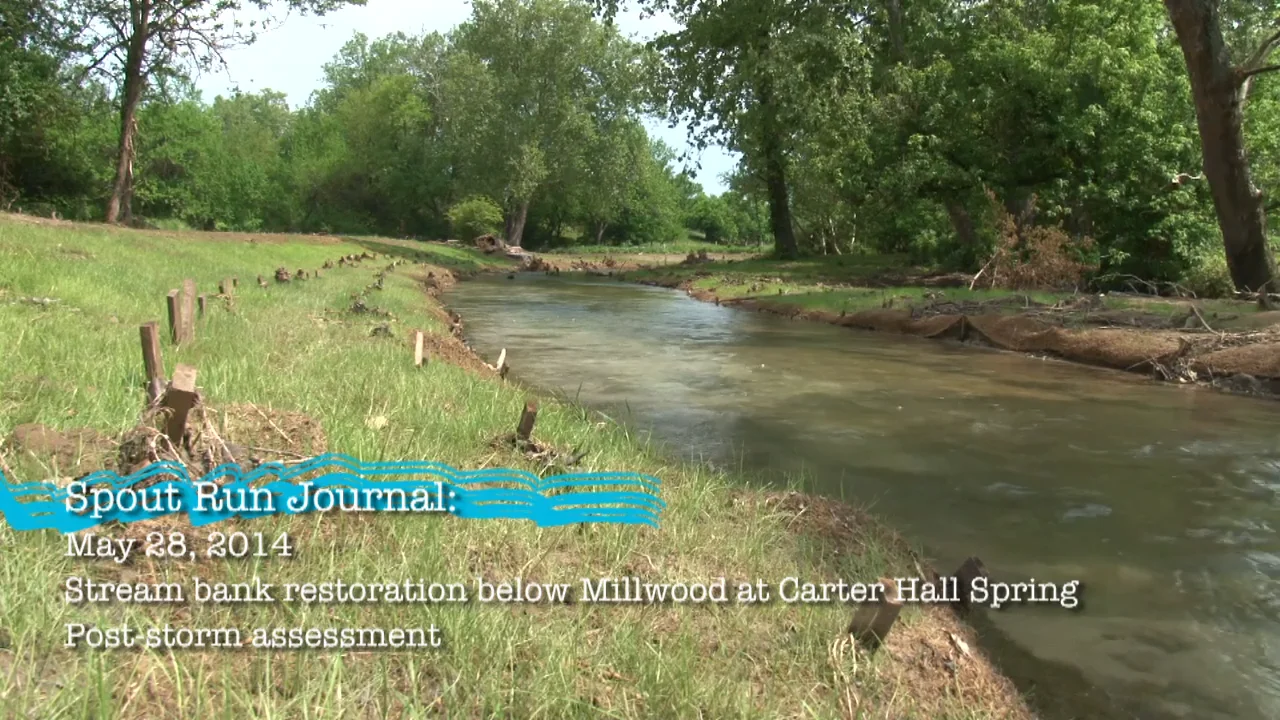 Featured Projects - Spout Run Journal May 2014: Post Storm Assessment ...