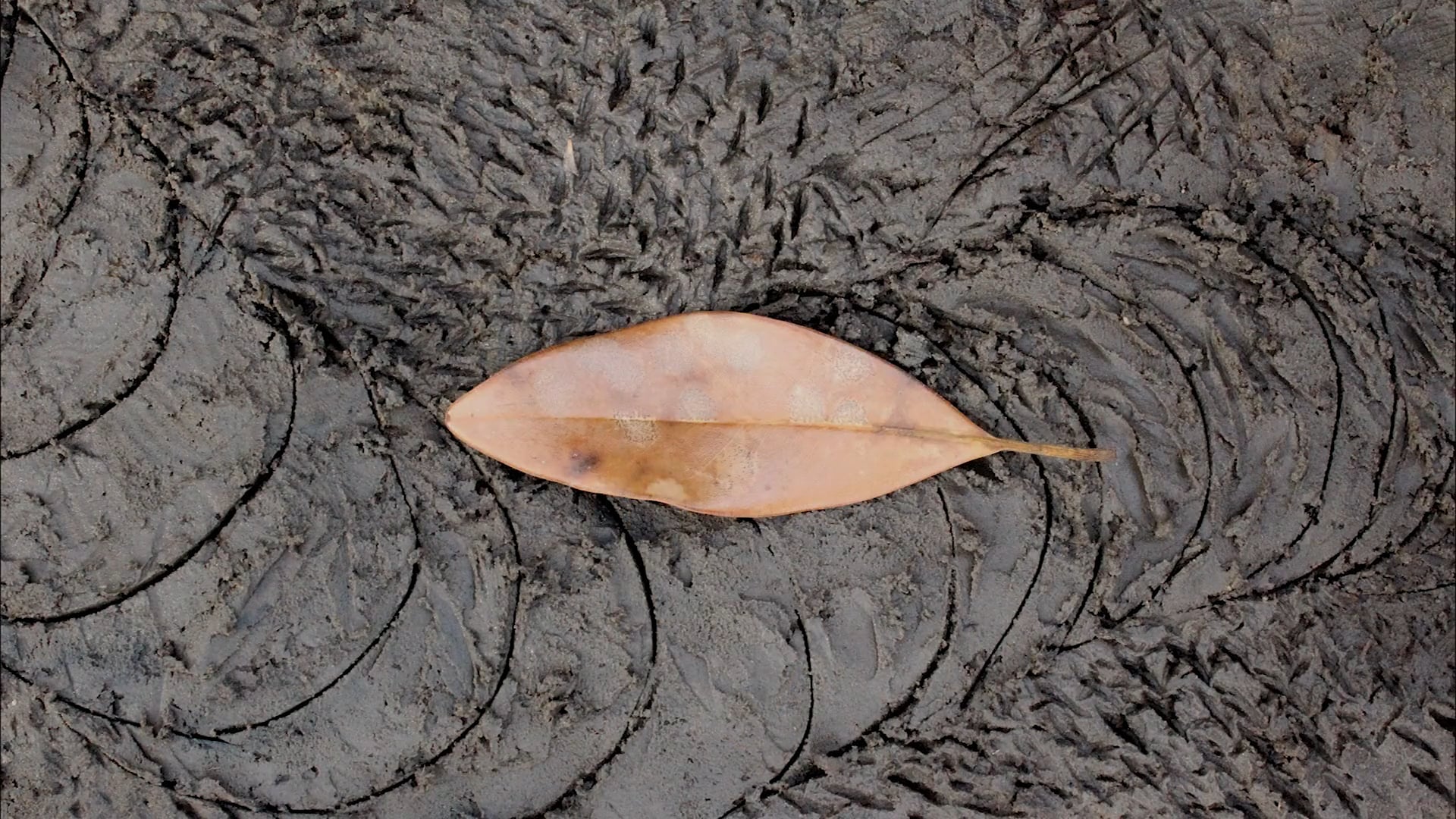 MUD on Vimeo