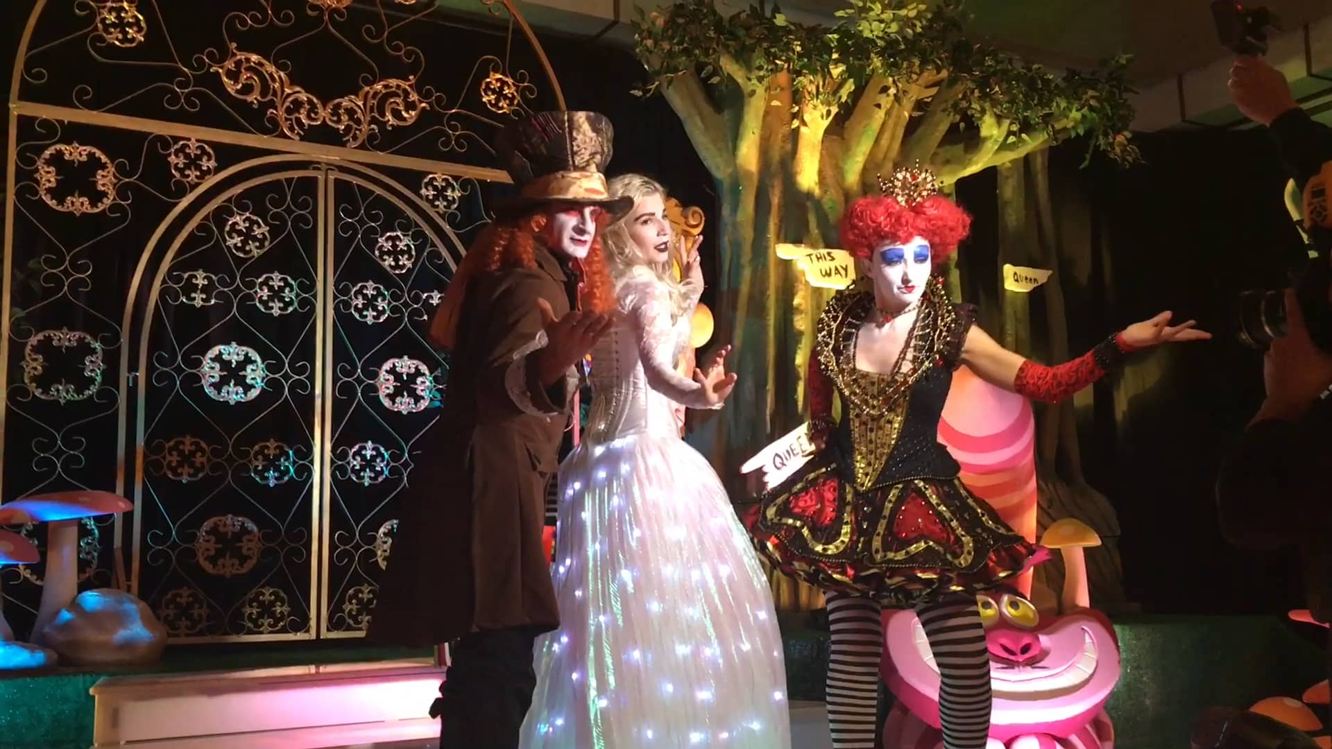 Alison Wonderland theme characters. on Vimeo