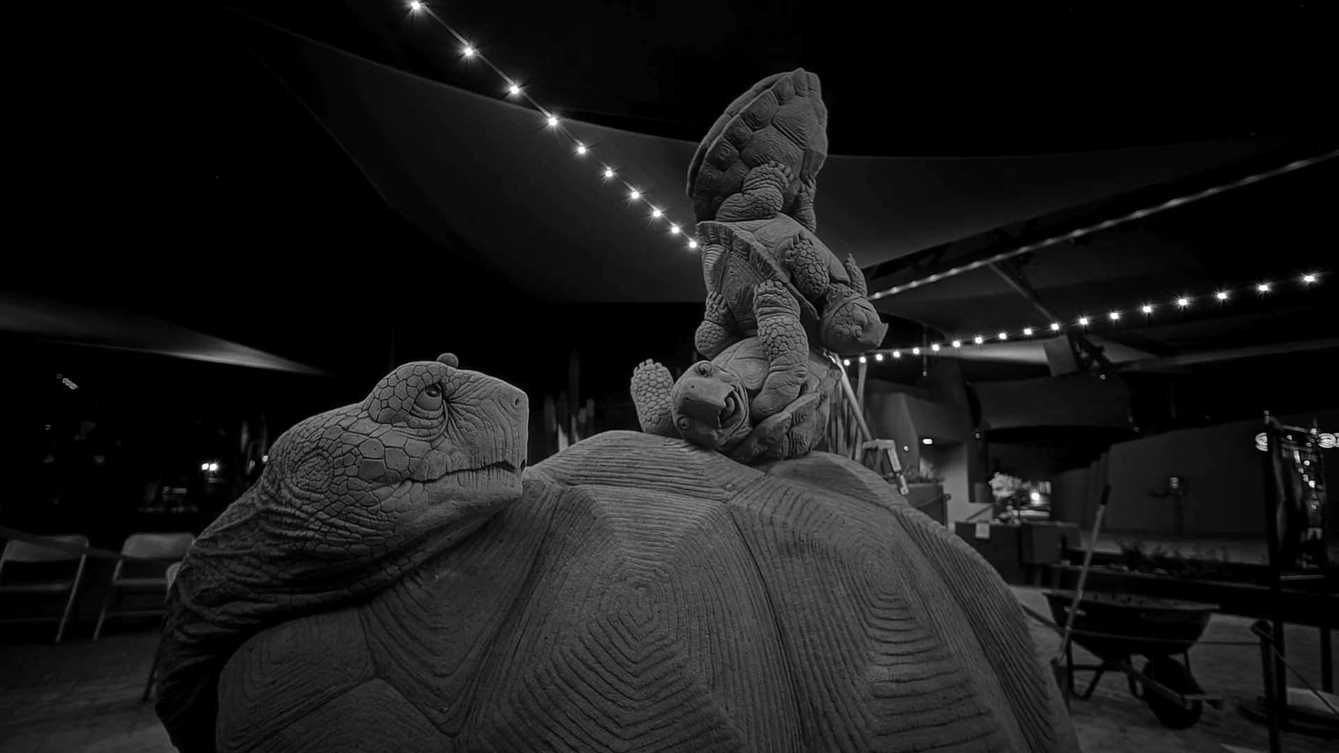 Ray Villafane & Nikolay Torkhov Sand Sculpture: Tortoises in Progress