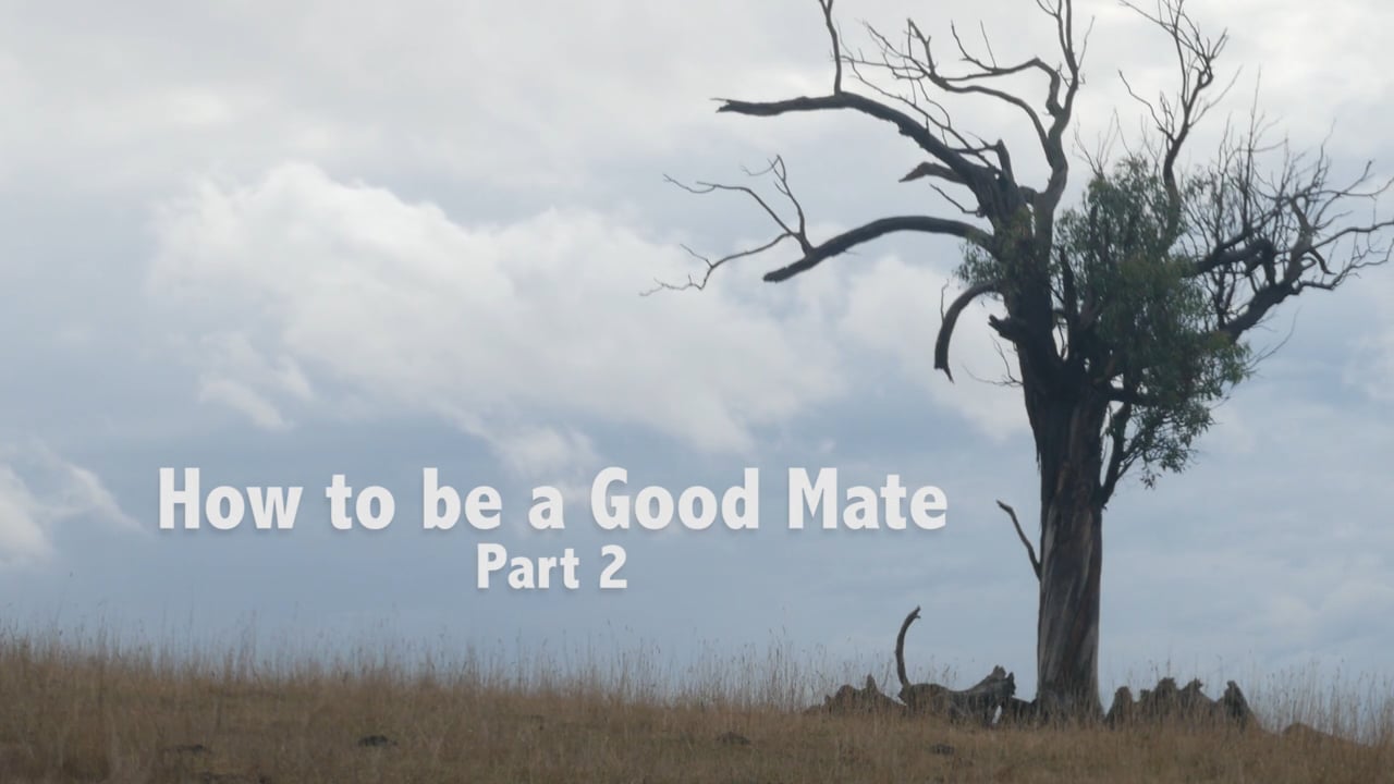 How to be a Good Mate Part 2 on Vimeo