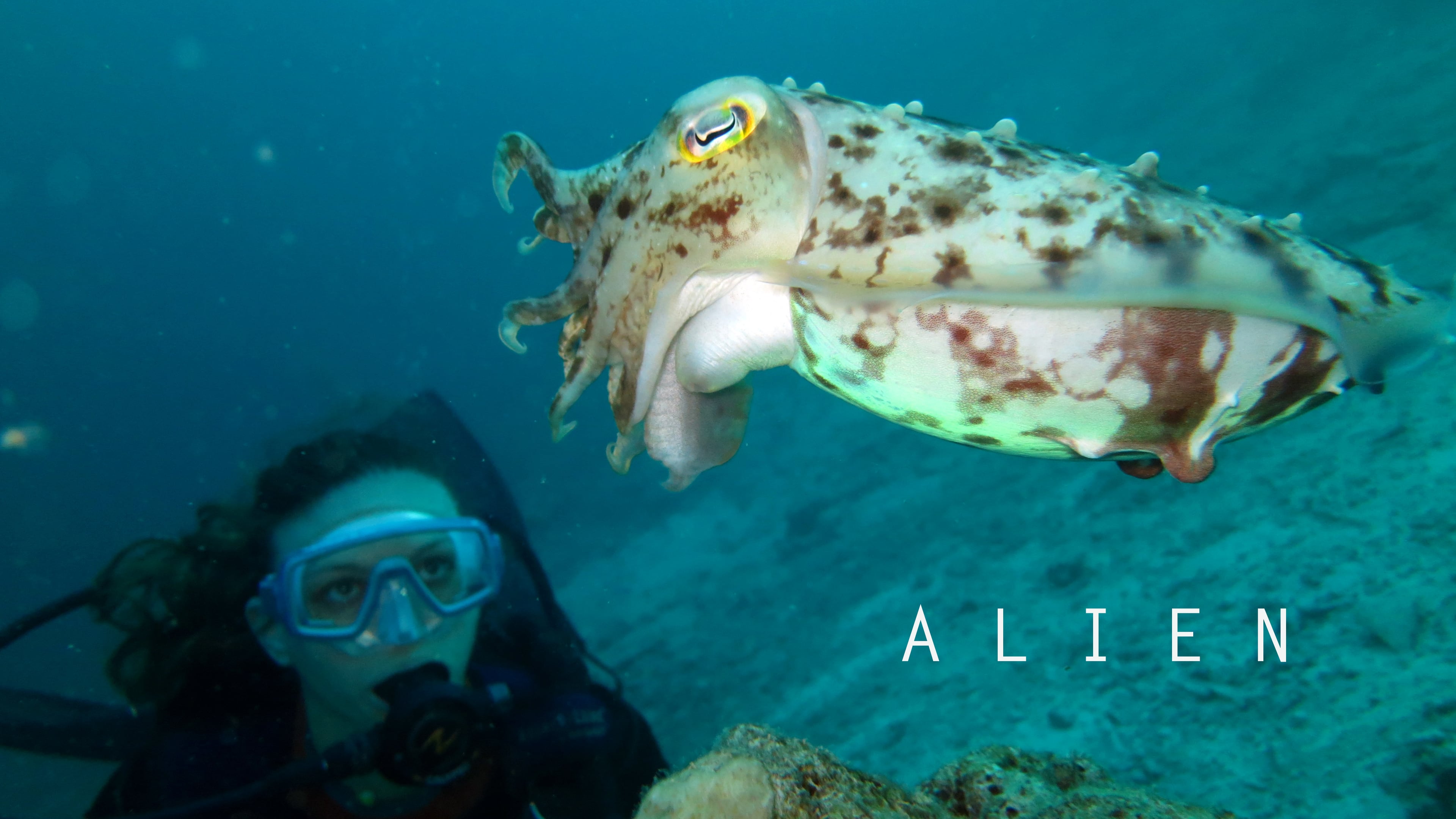 alien on Vimeo