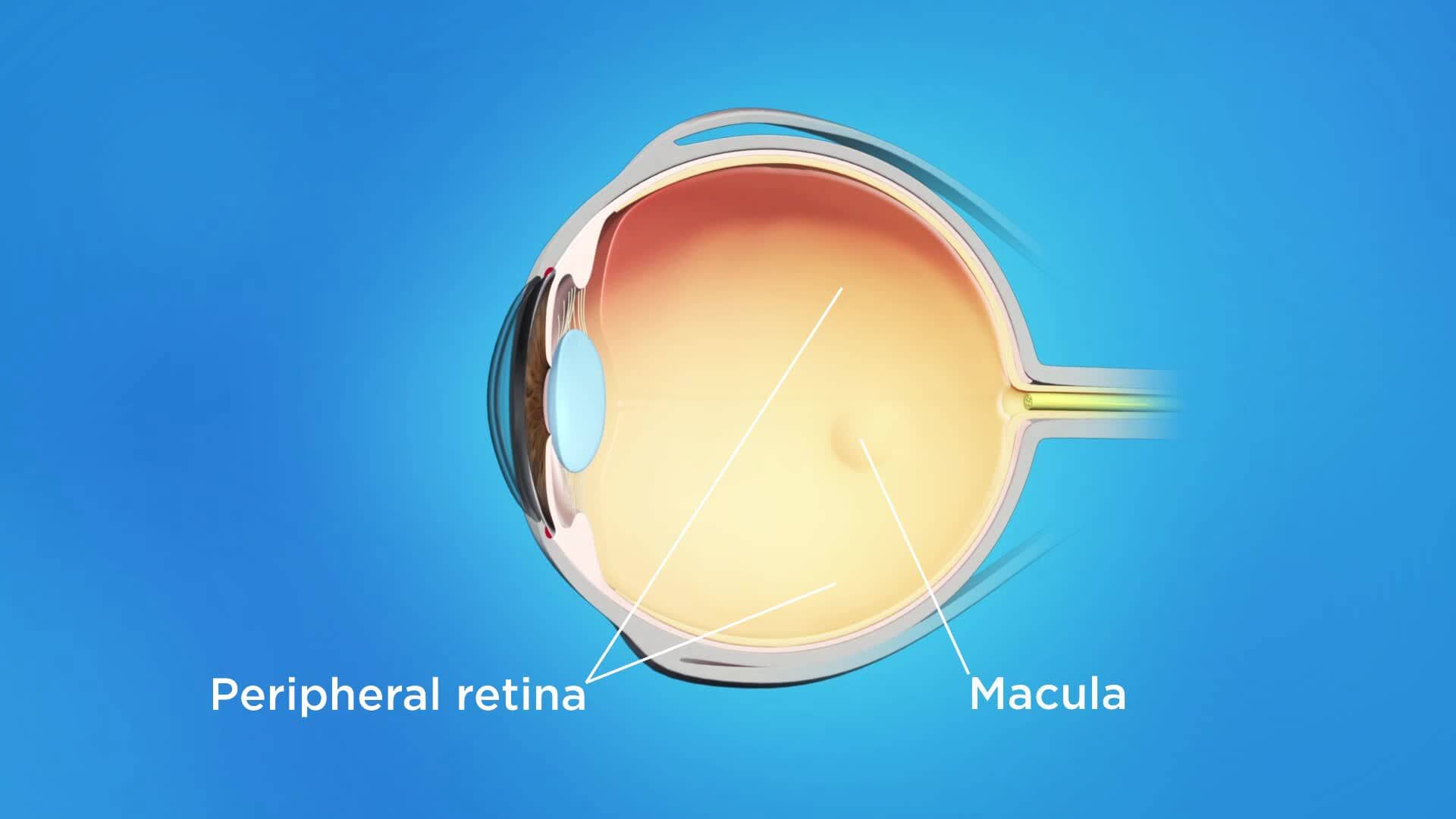 Retina_Animation_ROP on Vimeo