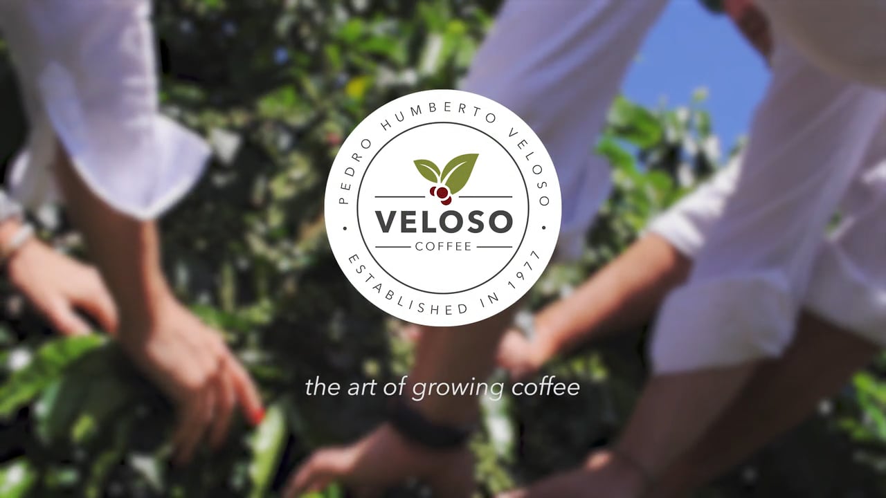 VELOSO COFFEE - ABOUT US on Vimeo