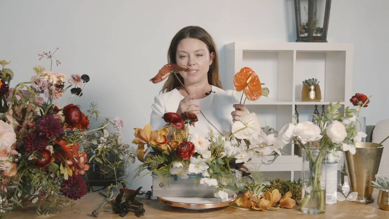 Mayesh Design Star: Tropical Garden Style Design on Vimeo