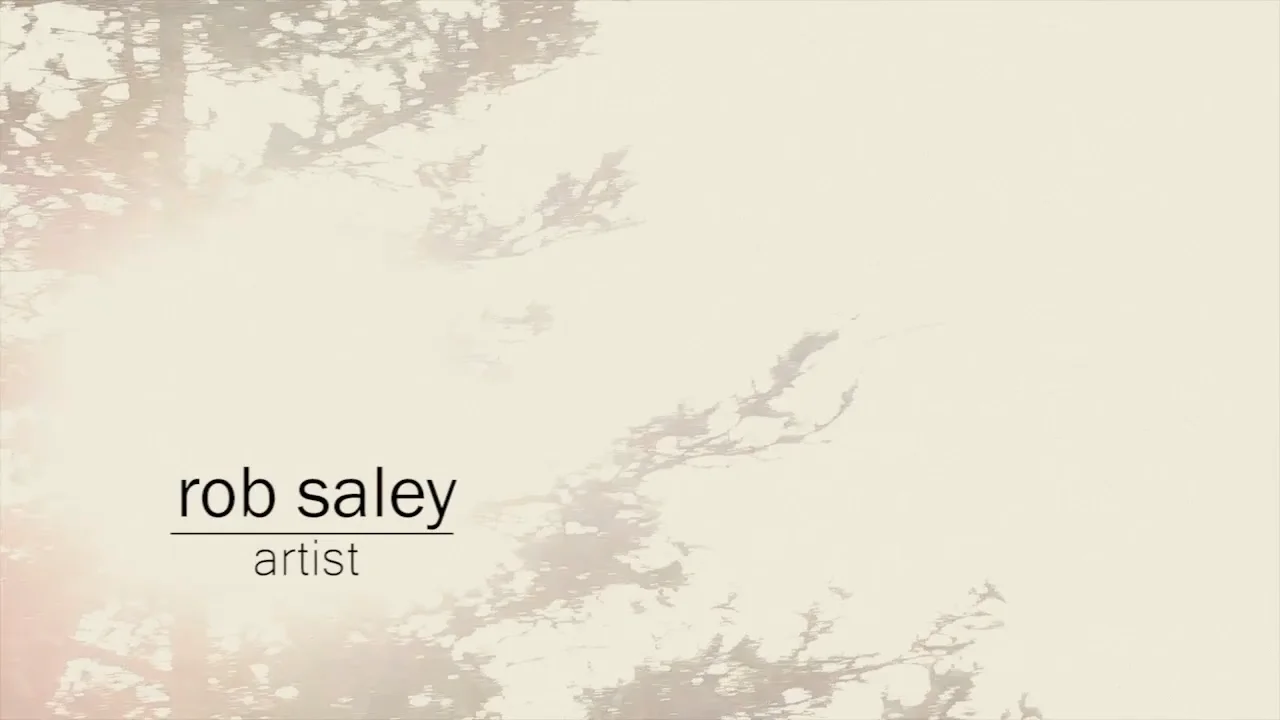 Rob Saley - Artist on Vimeo