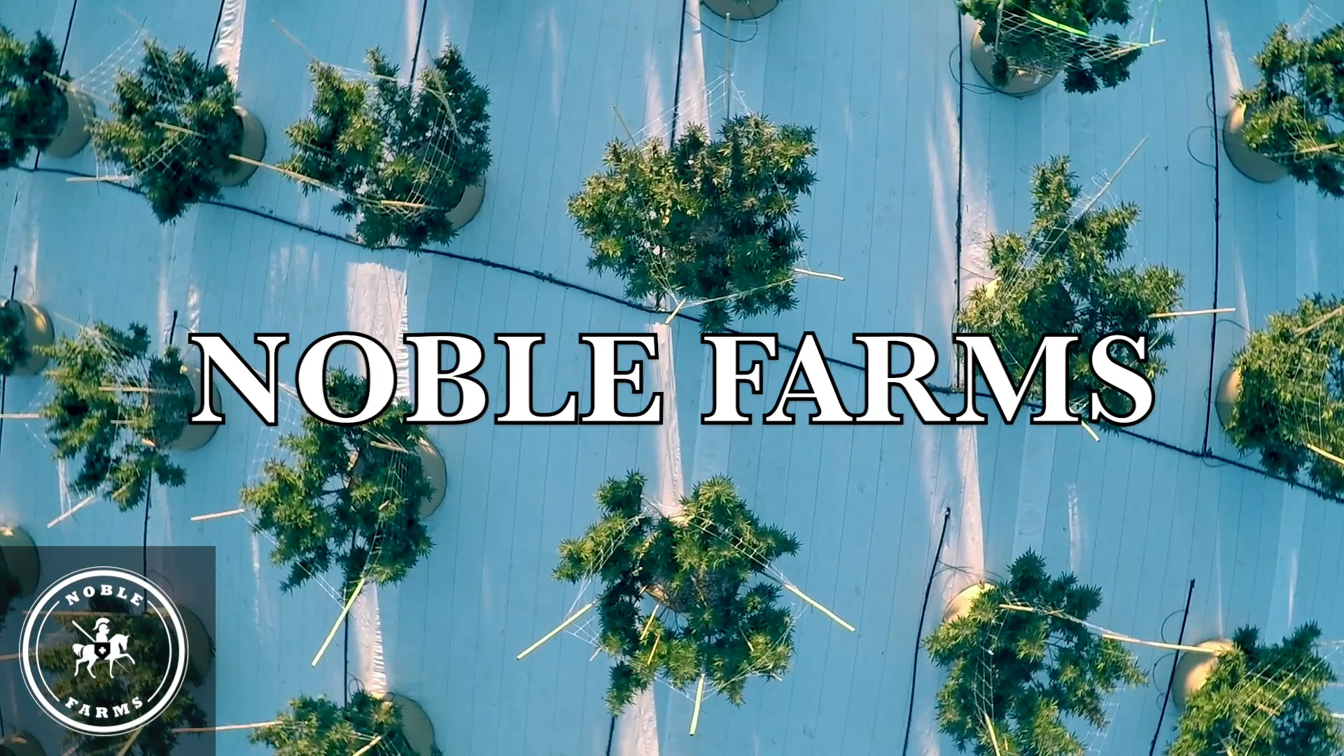 Noble Farms - Respect on Vimeo