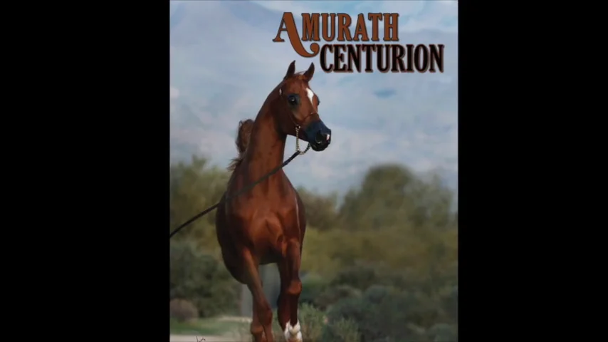 Amurath Centurion on Vimeo