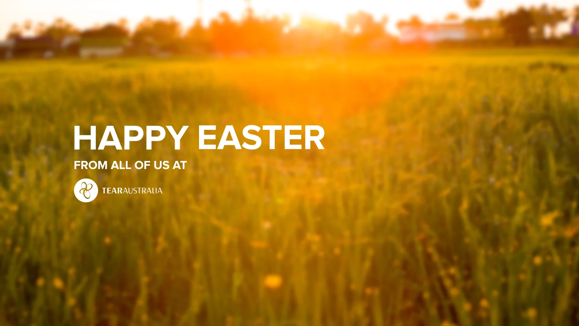 LENT - EASTER SUNDAY 2017 on Vimeo