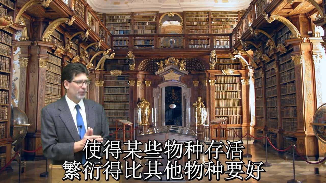 Creation verses Evolution - Dr. Daniel Sweetman, Grand Rapids, MI on Vimeo