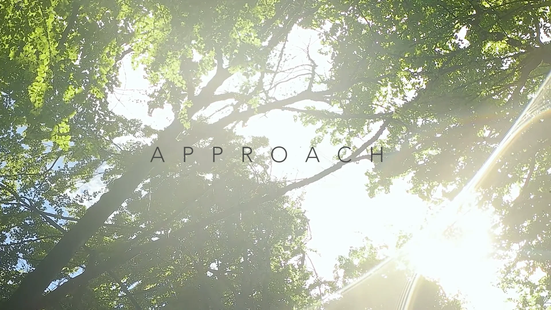 Nucraft Approach Animation