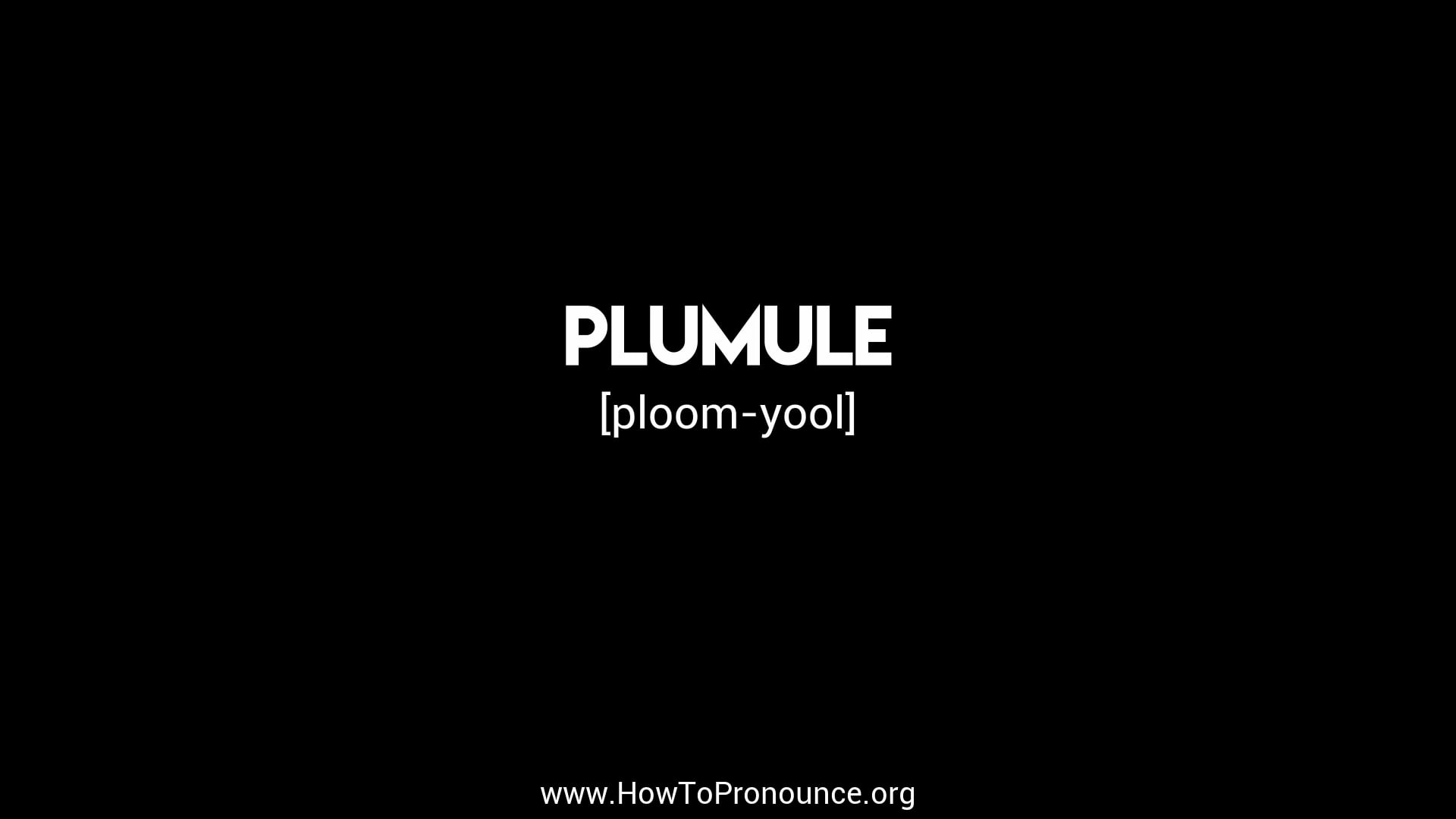 How to Pronounce "plumule" on Vimeo