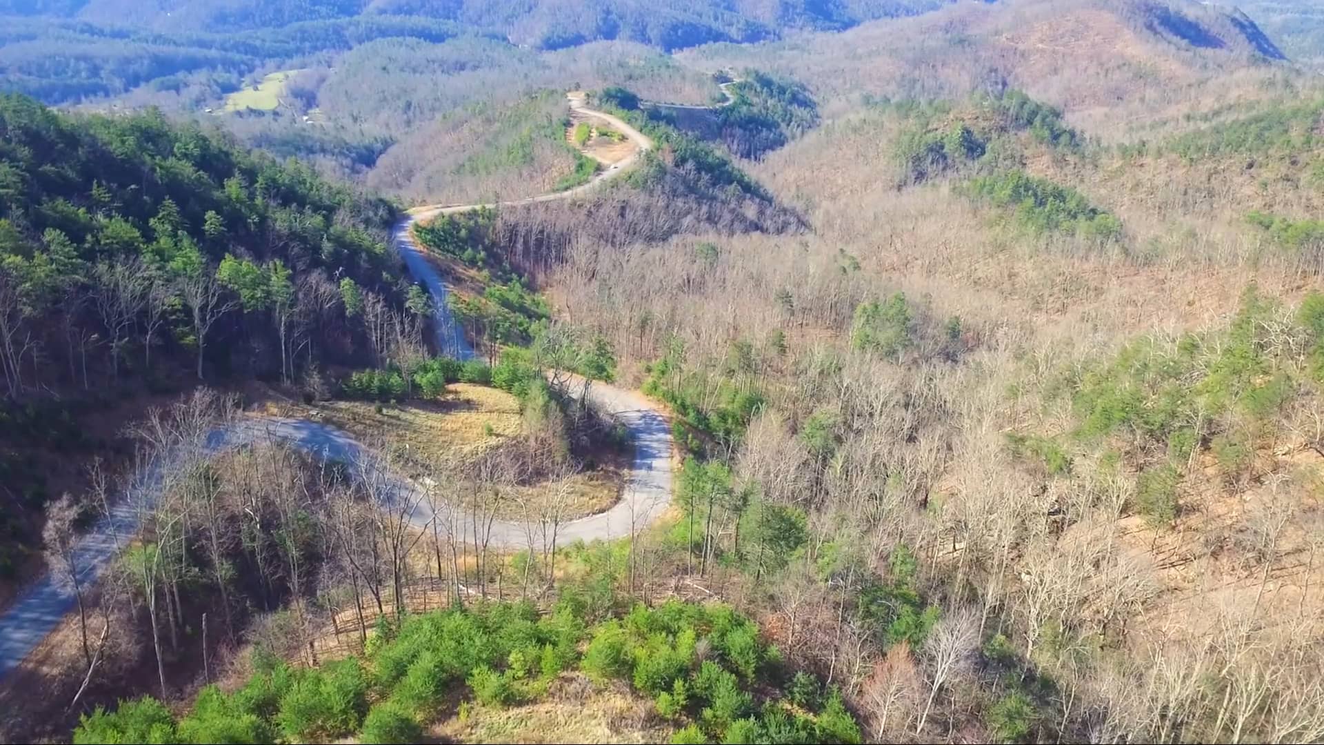 NCDH x Local - Dan Arney [Shinerun 2017] on Vimeo