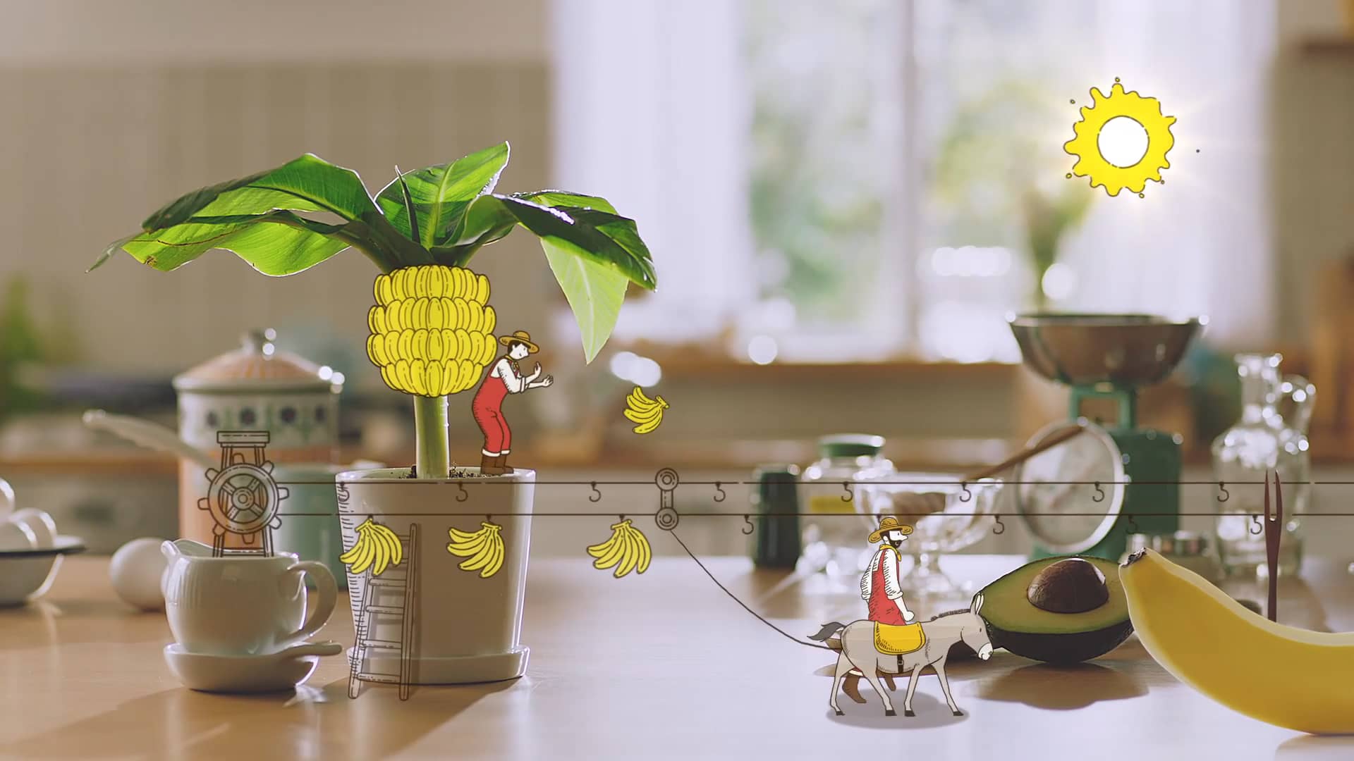 Dole_TVCM_Taste the sunshine on Vimeo