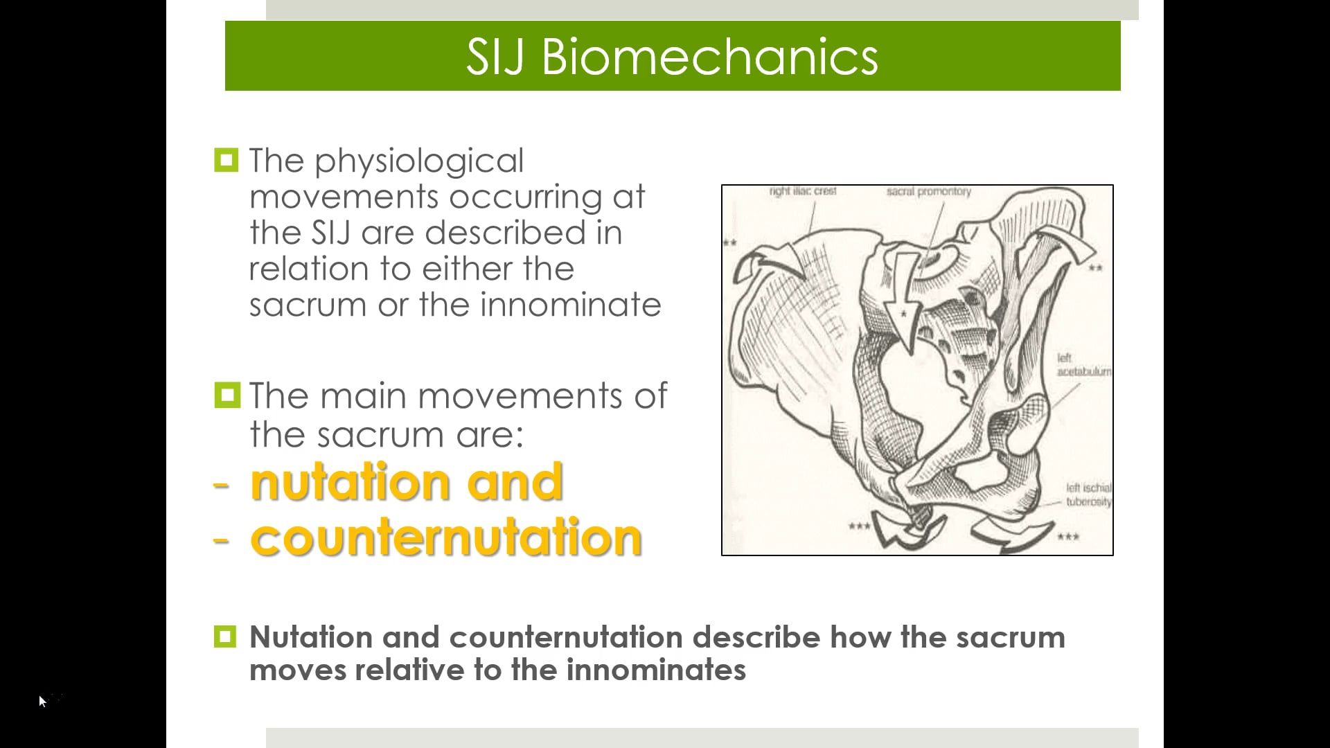 3.SIJ-Pelvis_Biomechanics & Pelvic Stability on Vimeo
