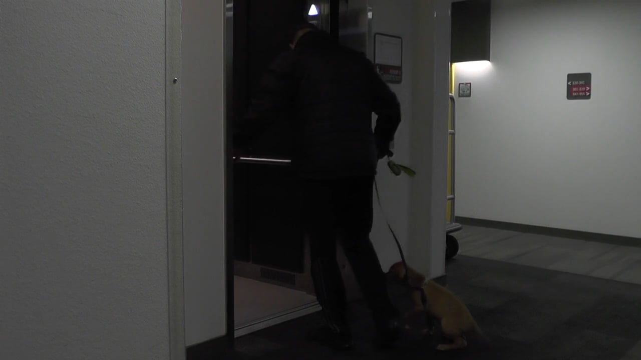 Potty Break on Vimeo