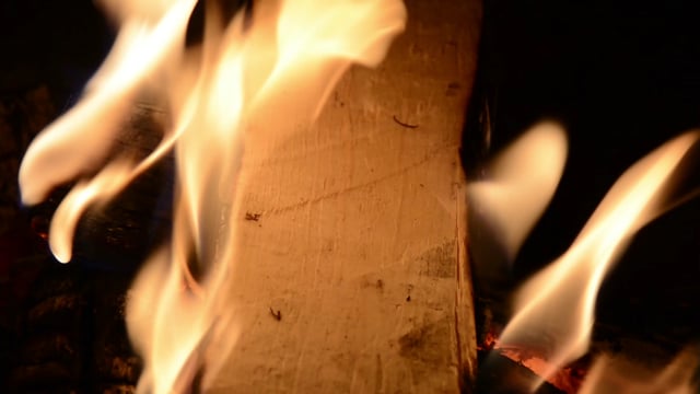 Fire Log Burning - Free video on Pixabay