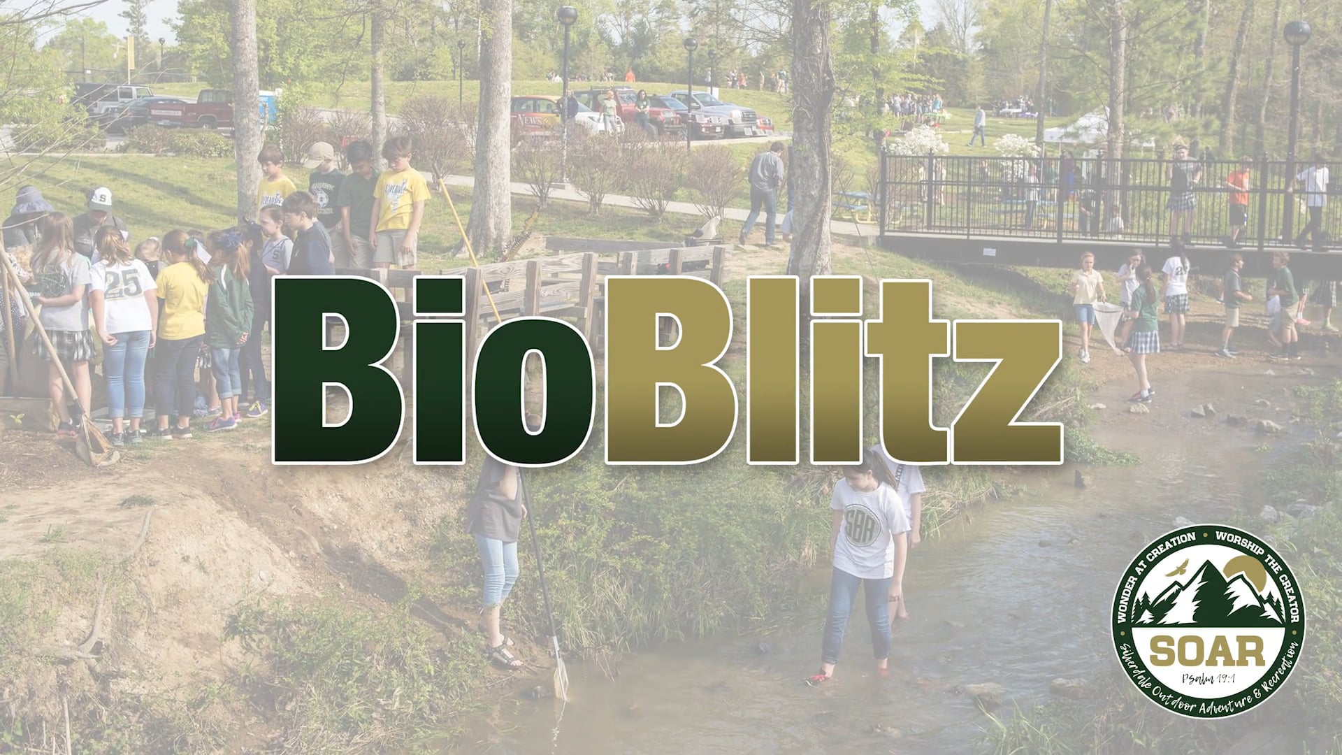 BioBlitz 2017 on Vimeo