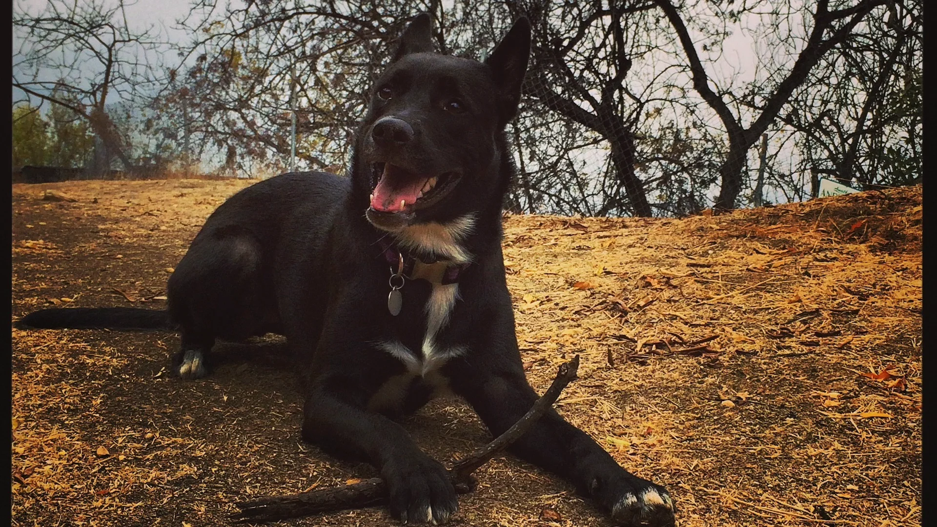 Zuri Food - Online Commercial on Vimeo