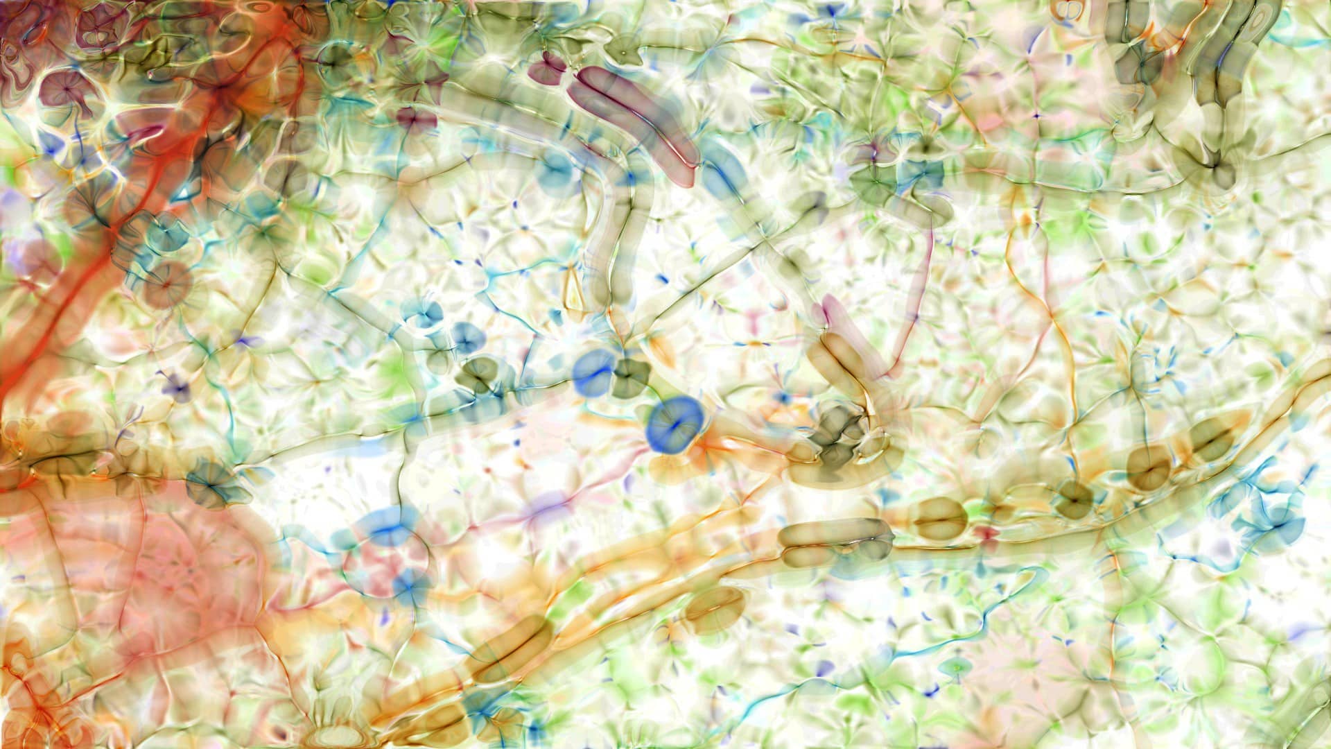 Microscopic Forms Abstract 1002 HD, 4K Stock Video on Vimeo