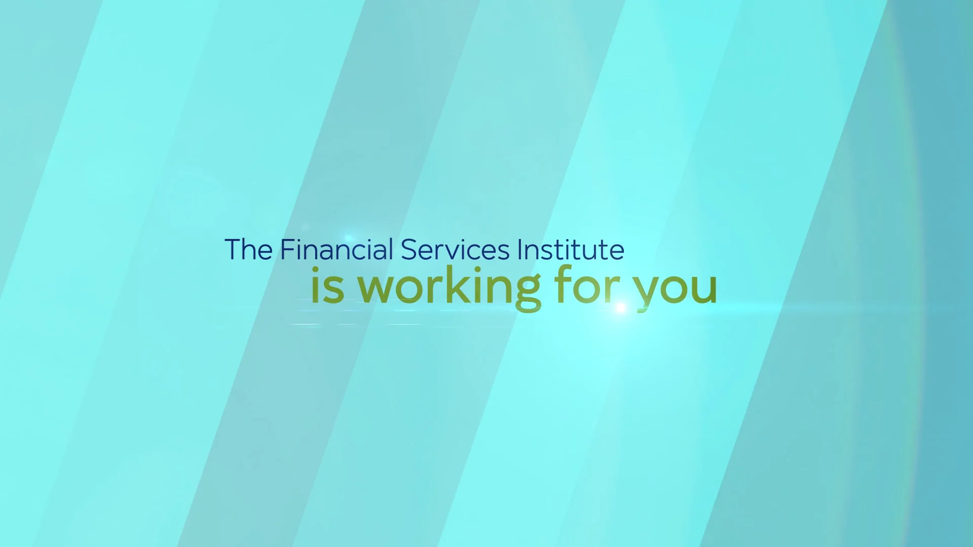 FSI Example V1 on Vimeo