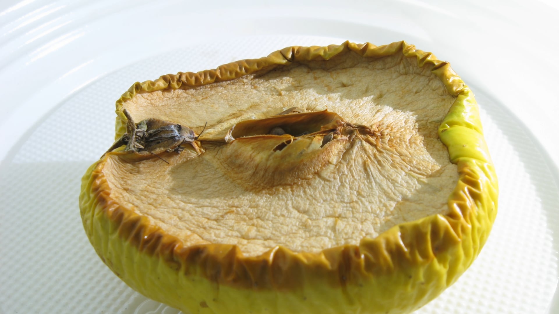 Timelapse of an apple decaying on Vimeo