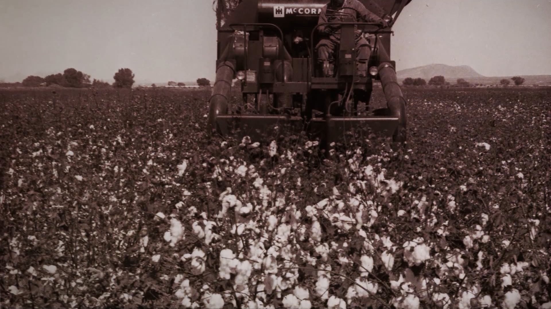 Supima Brand Video HISTORY on Vimeo