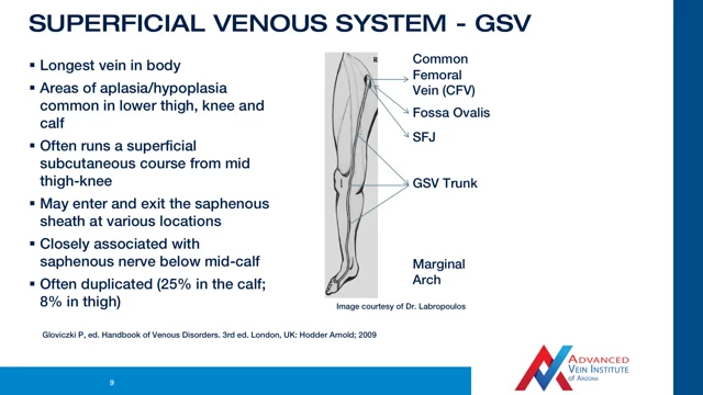 Accessory Saphenous Vein Anatomy