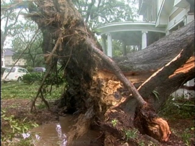 Baton Rouge Hurricane Gustov Damage on Vimeo