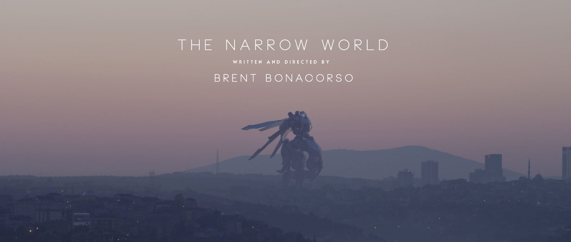 THE NARROW WORLD