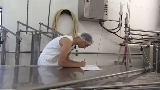 Milk temperature checks — Science Learning Hub