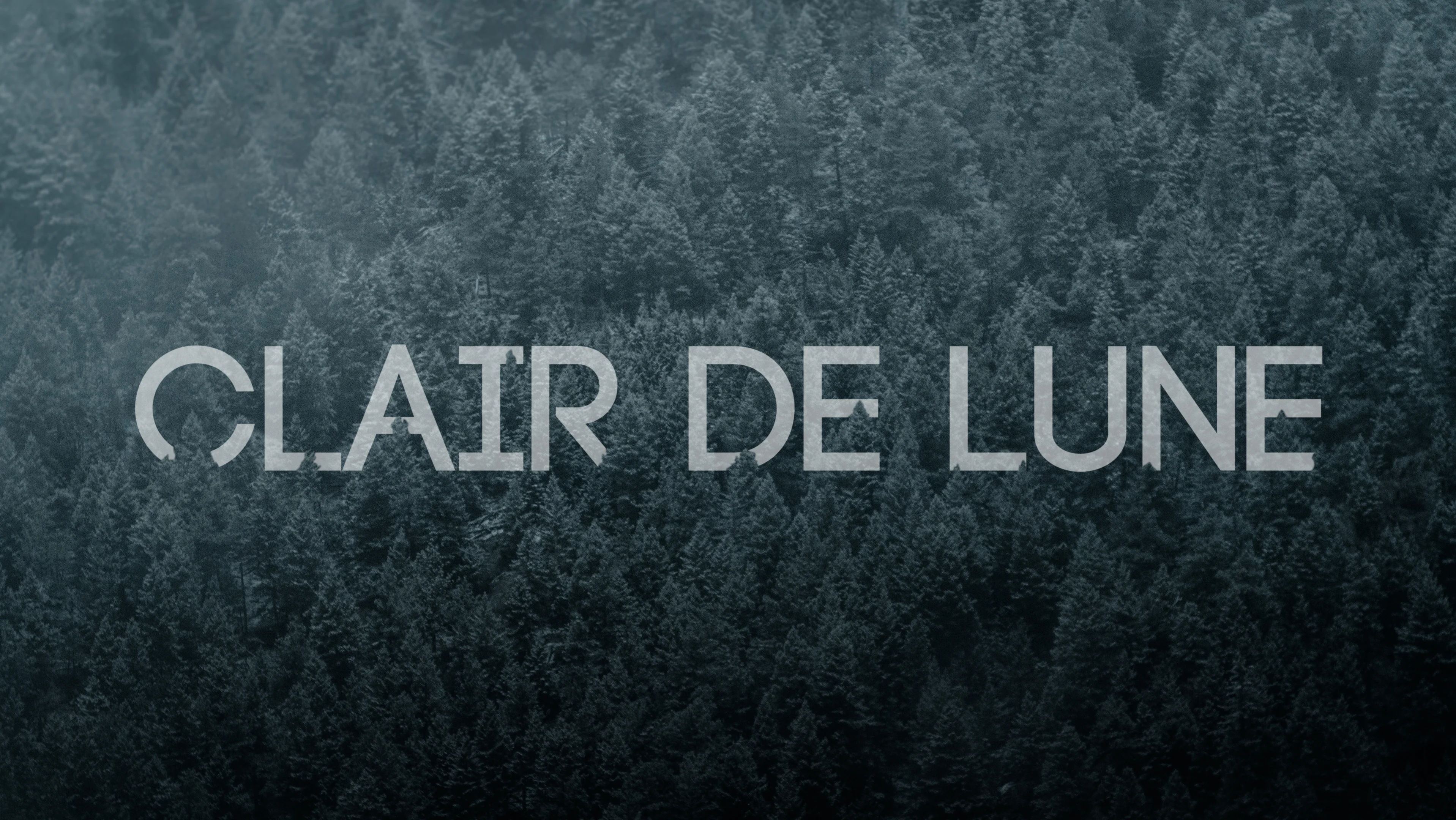 Clair De Lune (GH5 Slow Motion + IBIS + Rokinon 16mm 35mm 85mm) on Vimeo