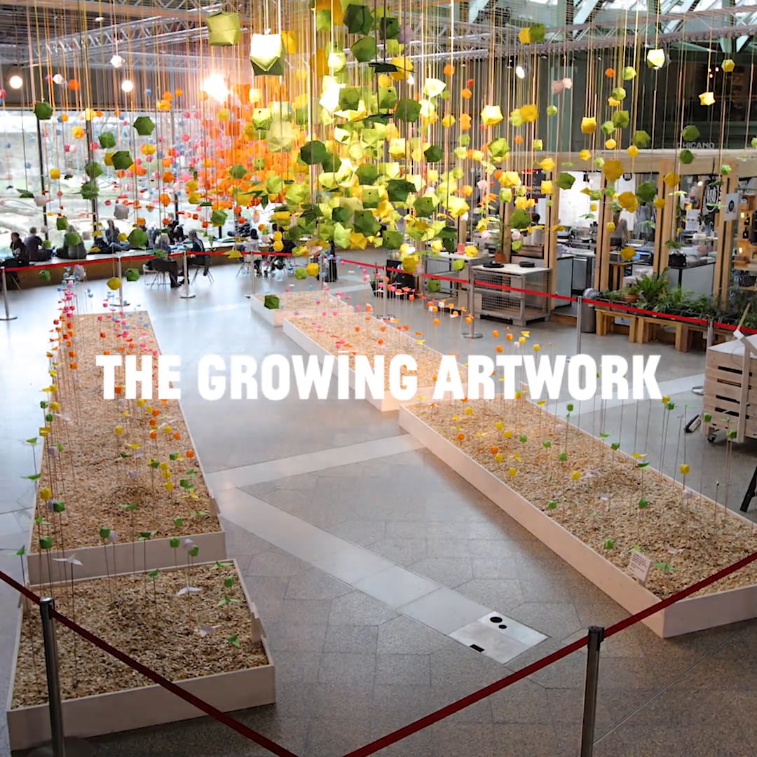 The Growing Artwork on Vimeo