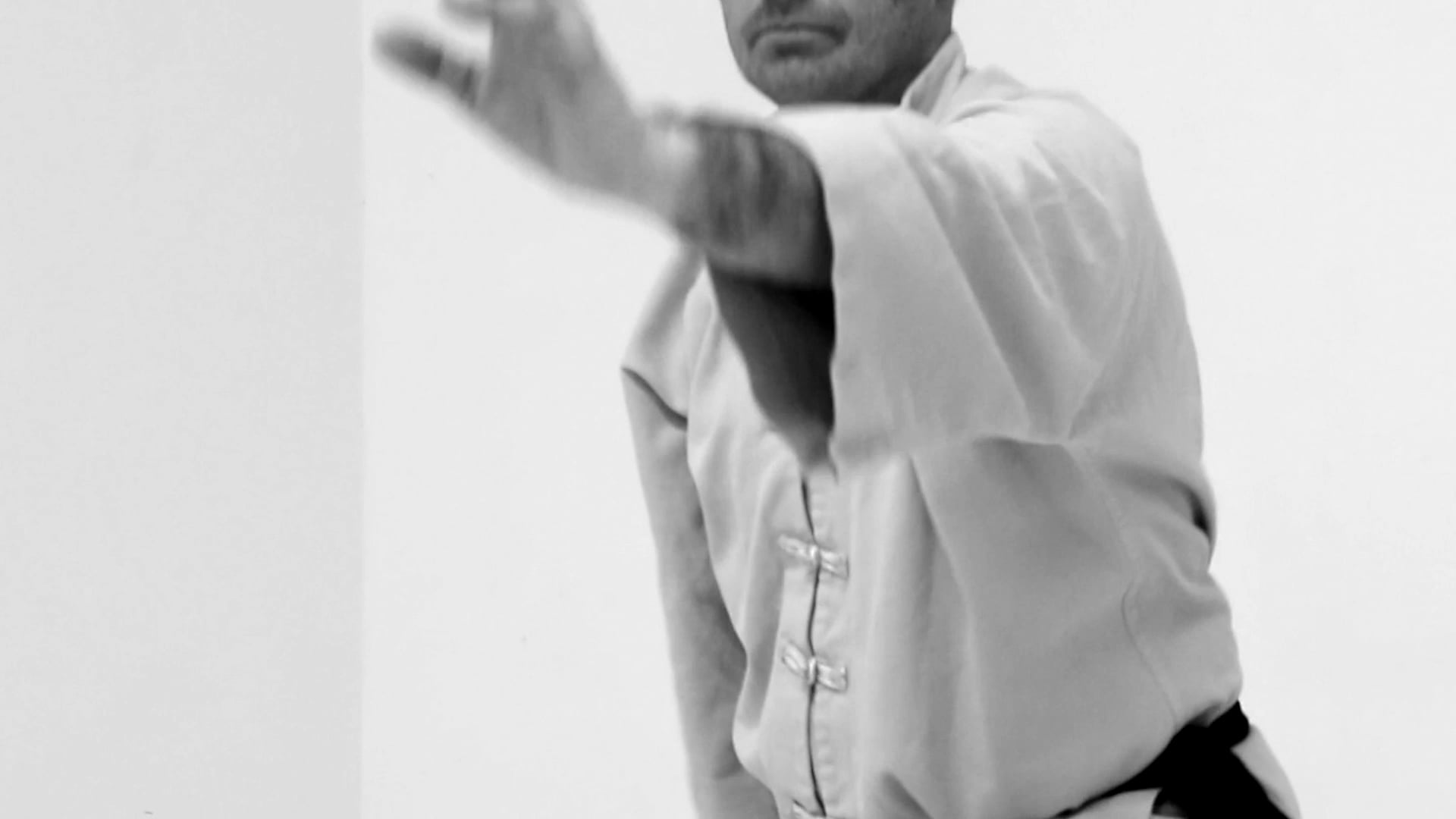 Thomas Buchi with Baptistry harmony call. on Vimeo