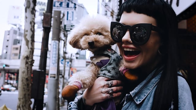 JAPAN VLOG 2017 on Vimeo