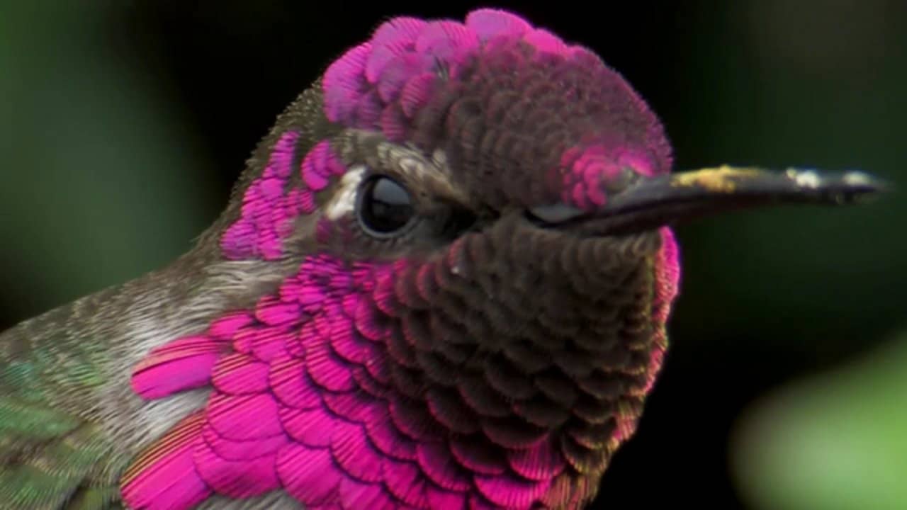 how-close-is-close-on-vimeo