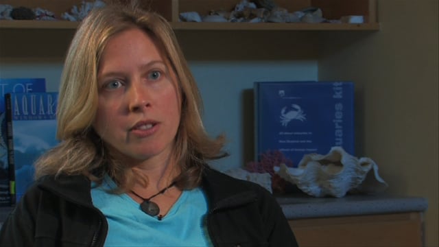 Farm land run off — Science Learning Hub