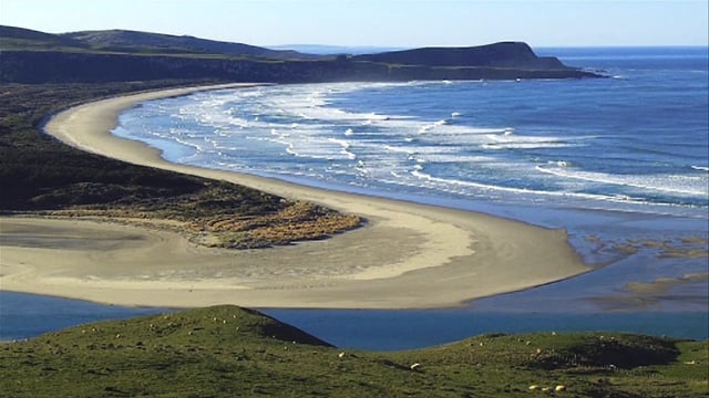 Estuaries — Science Learning Hub