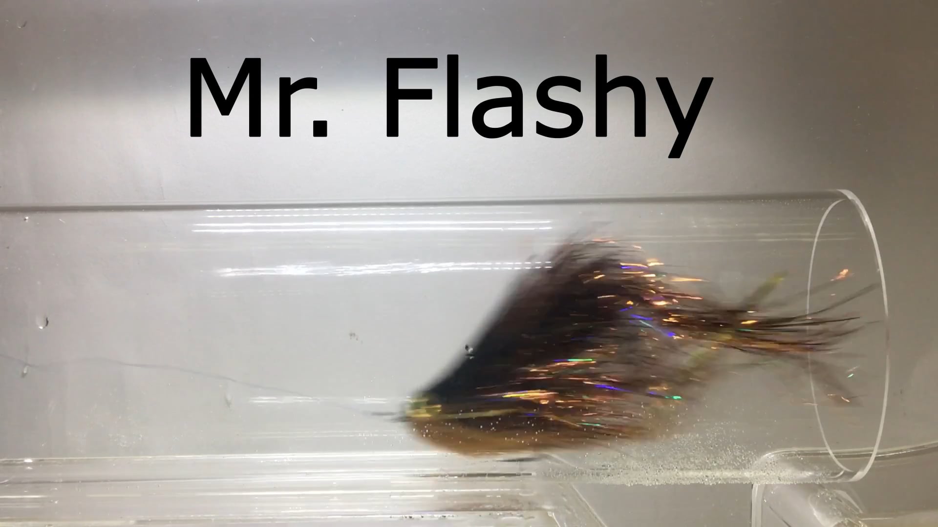 Mr. Flashy on Vimeo